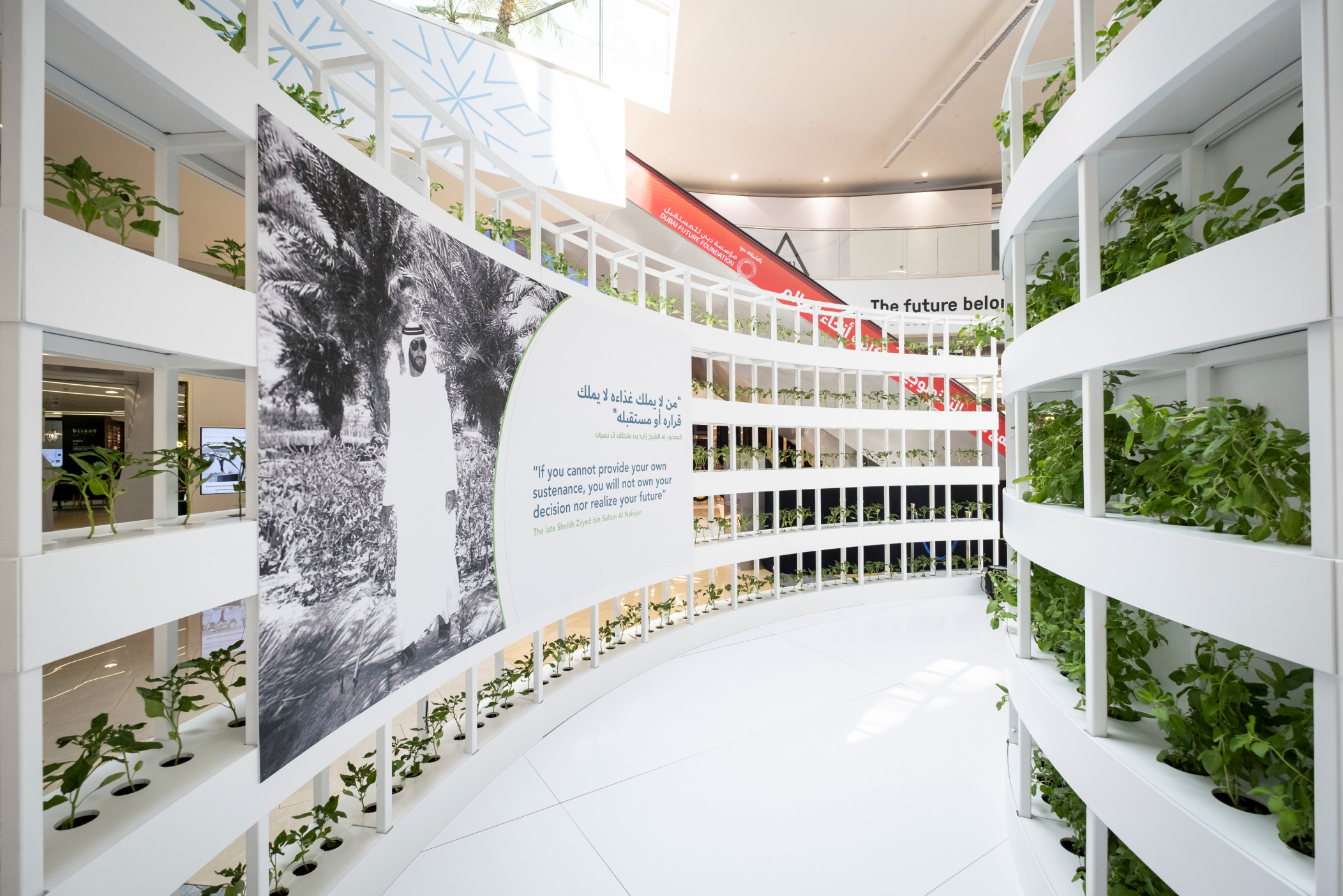 FoodTech Challenge | Food Security Innovation Challenge