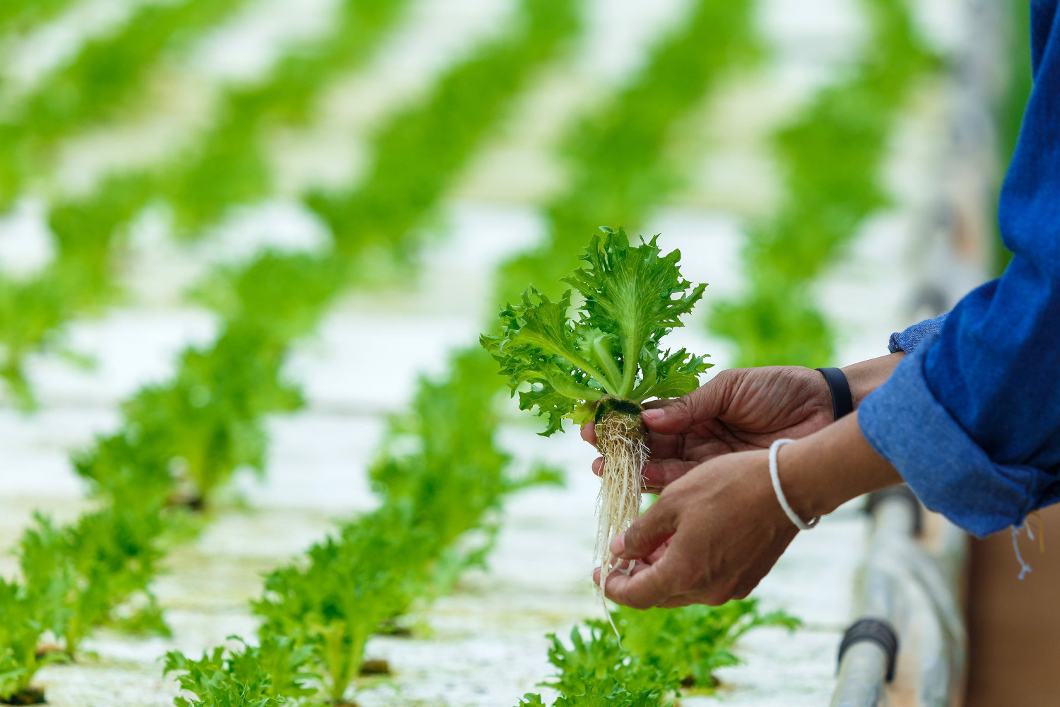 About FoodTech Challenge | Innovation & Competition